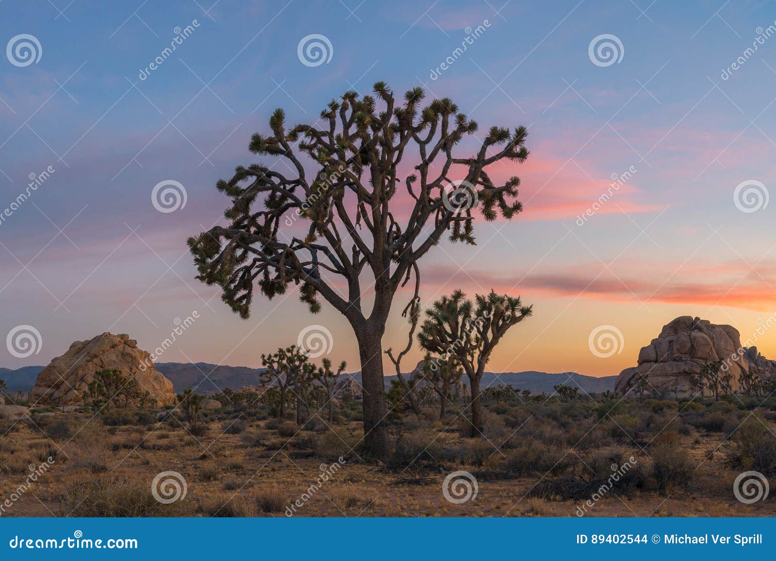 Joshua Tree Sunset stock photo. Image of joshua, landscape - 89402544