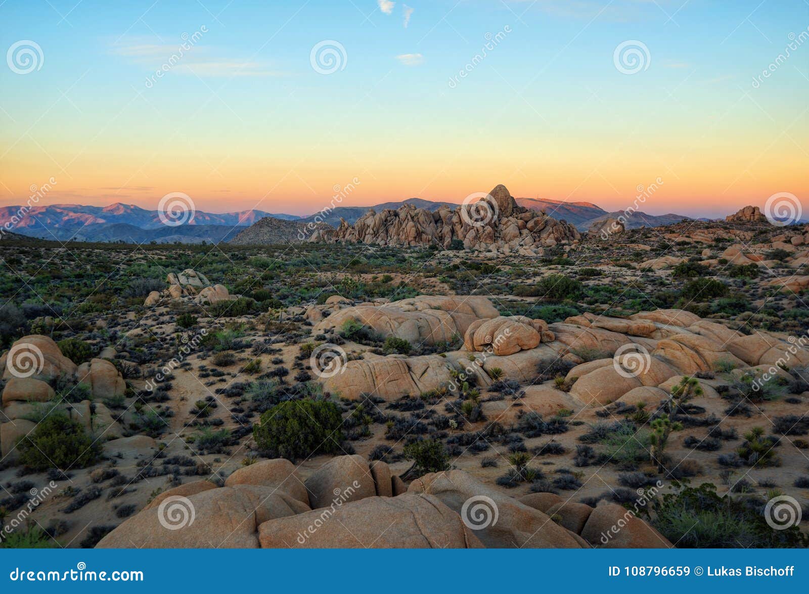 Joshua Tree Sunset stock image. Image of plant, preserve - 108796659