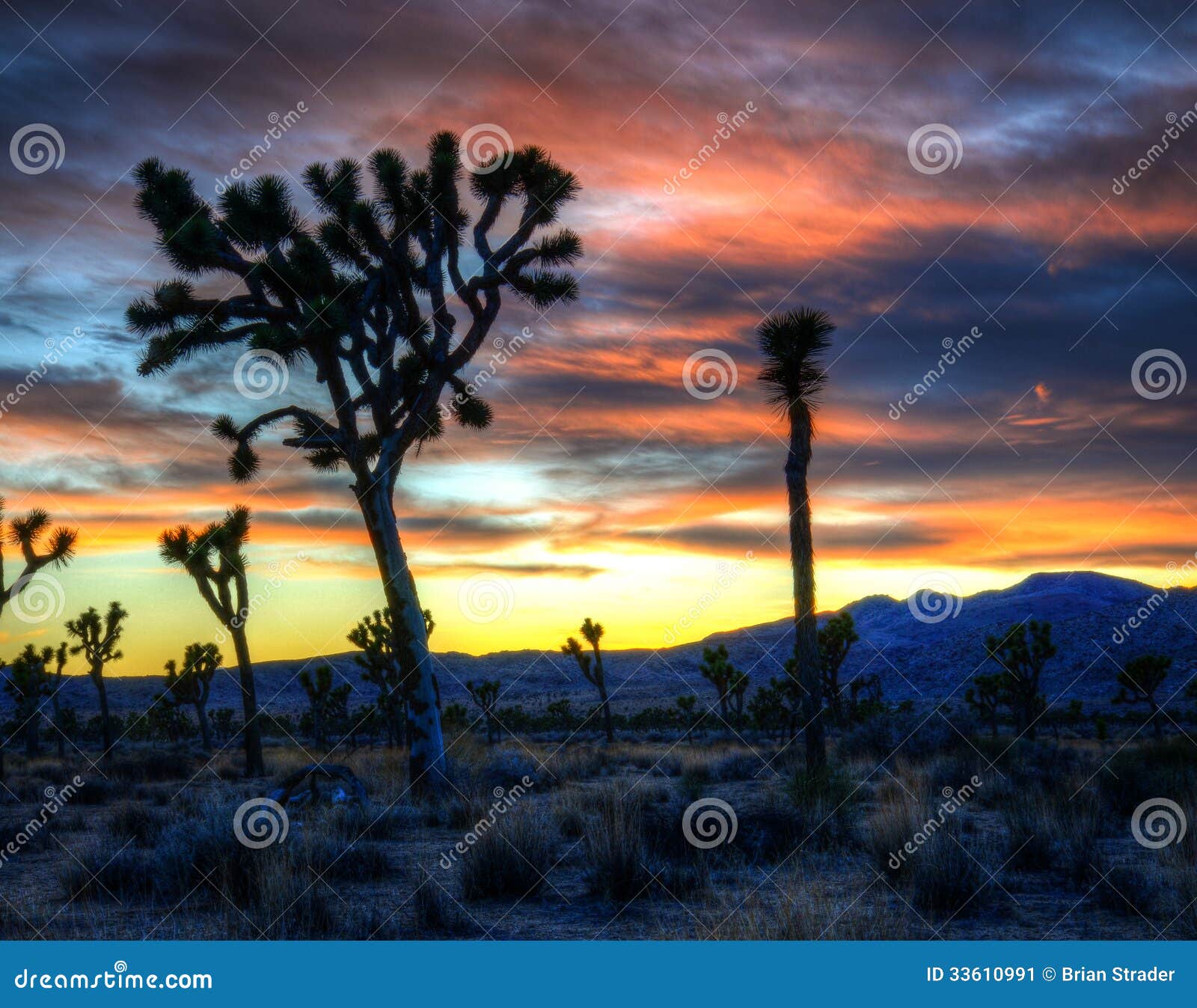 Joshua Tree Sunset stock image. Image of hills, national - 33610991