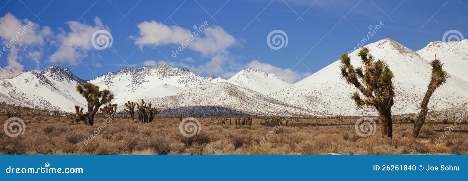 Joshua Trees And Striking Mountains At Dawn In The Mojave Desert Of ...
