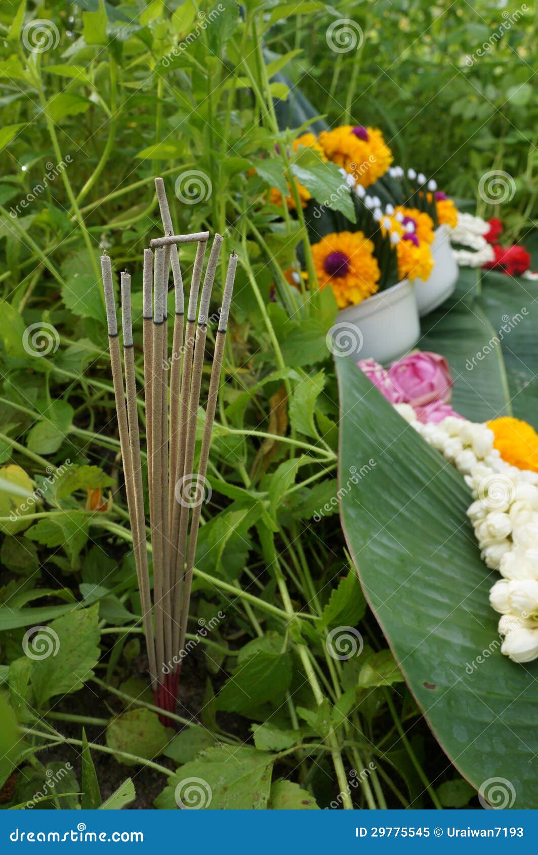 Joss stick stock image. Image of leaf, asian, siam, plant - 29775545