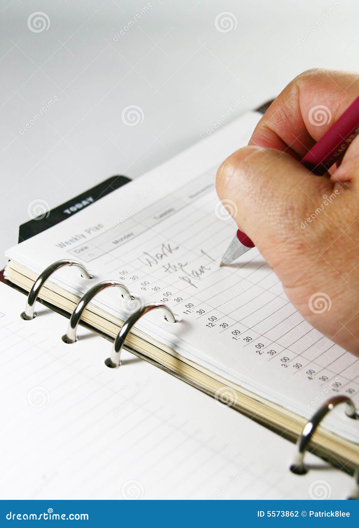 Jotting Down Business Notes Picture. Image: 5573862