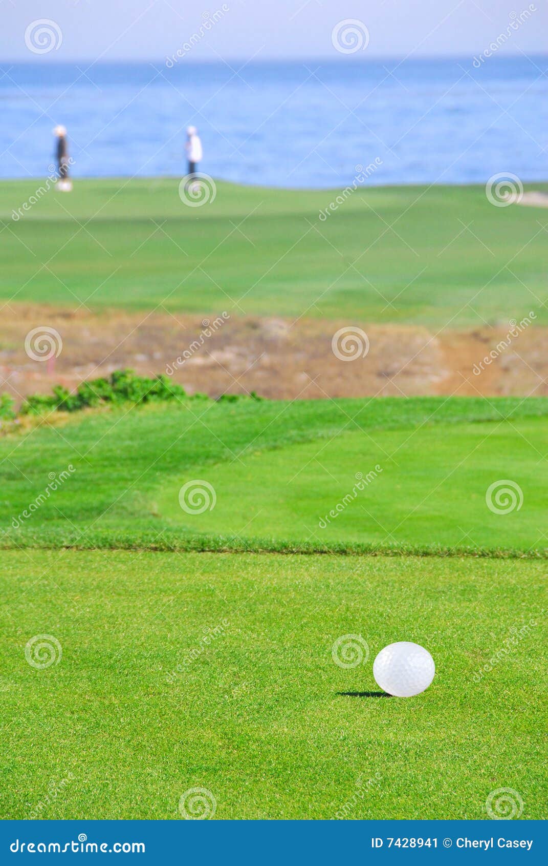 Jouer Au Golf De Bord De La Mer Image stock - Image du sport, extérieur ...
