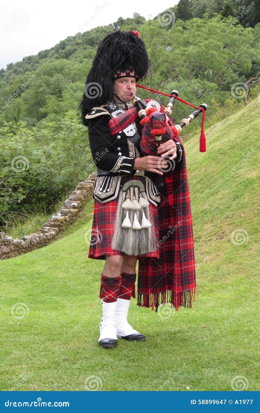 Joueur De Cornemuse écossais Photographie éditorial - Image du musical ...