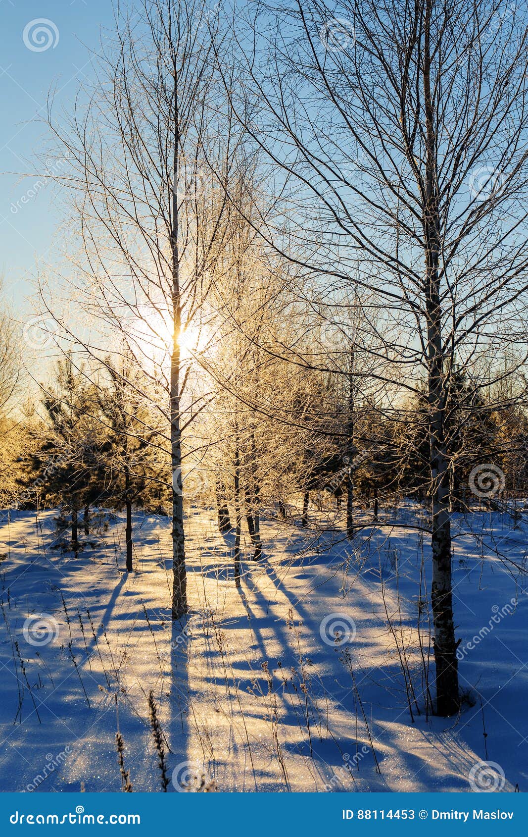 Jour d'hiver ensoleillé image stock. Image du tranquille - 88114453