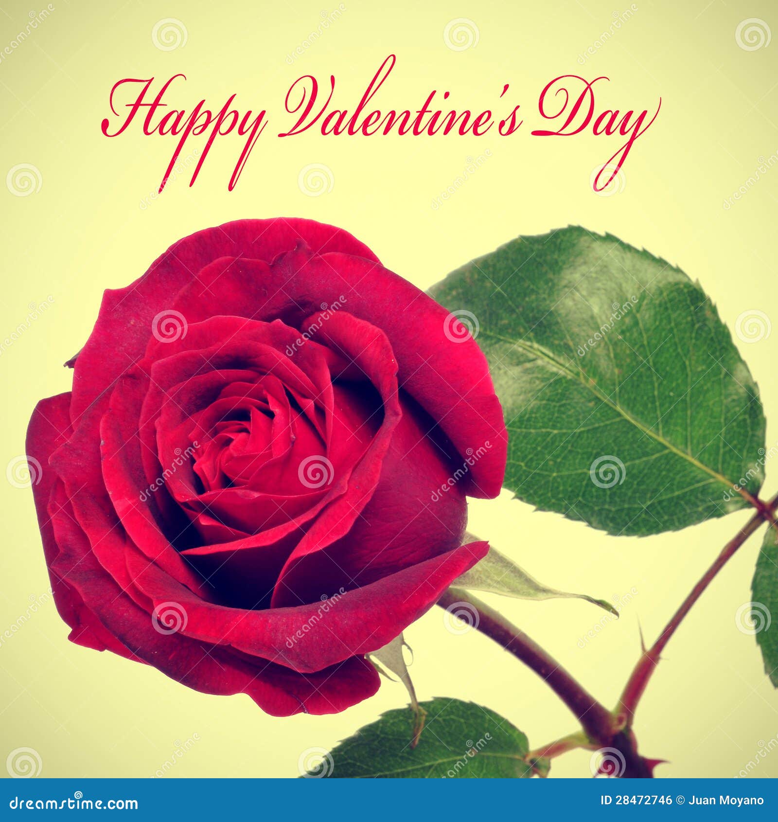 Jour de valentines heureux photo stock. Image of vieux - 28472746