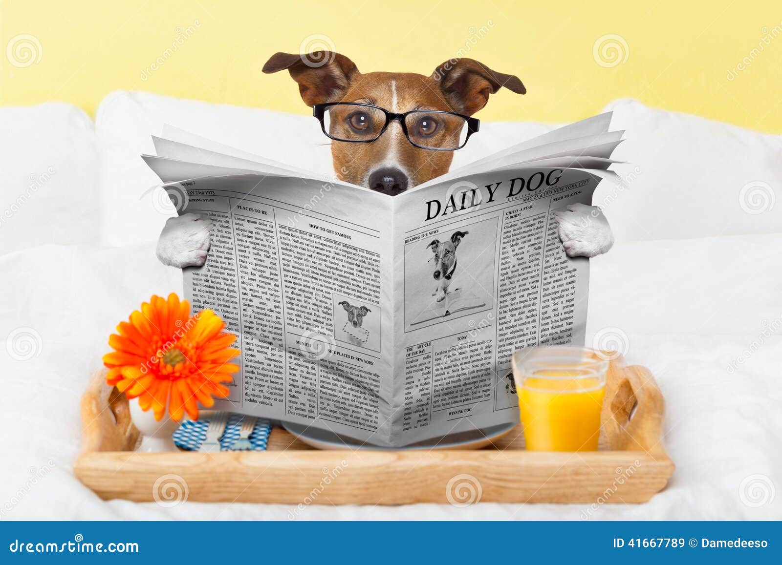 Journal De Lecture De Chien Image stock - Image du humeur, prise: 41667789 Journal De Lecture De Chien Image stock - Image du humeur, prise: 41667789
