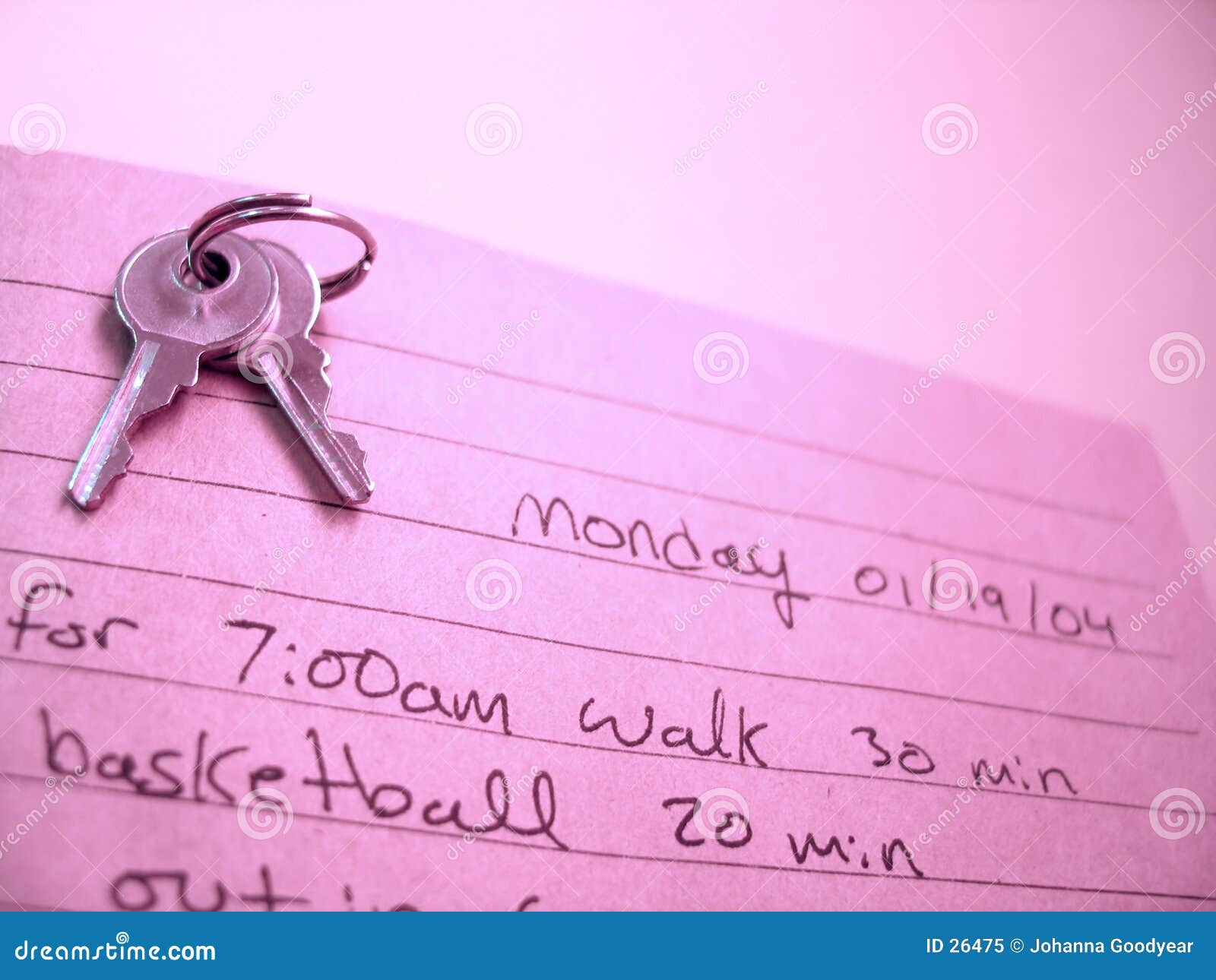 Journal Entry stock image. Image of diary, life, feelings - 26475