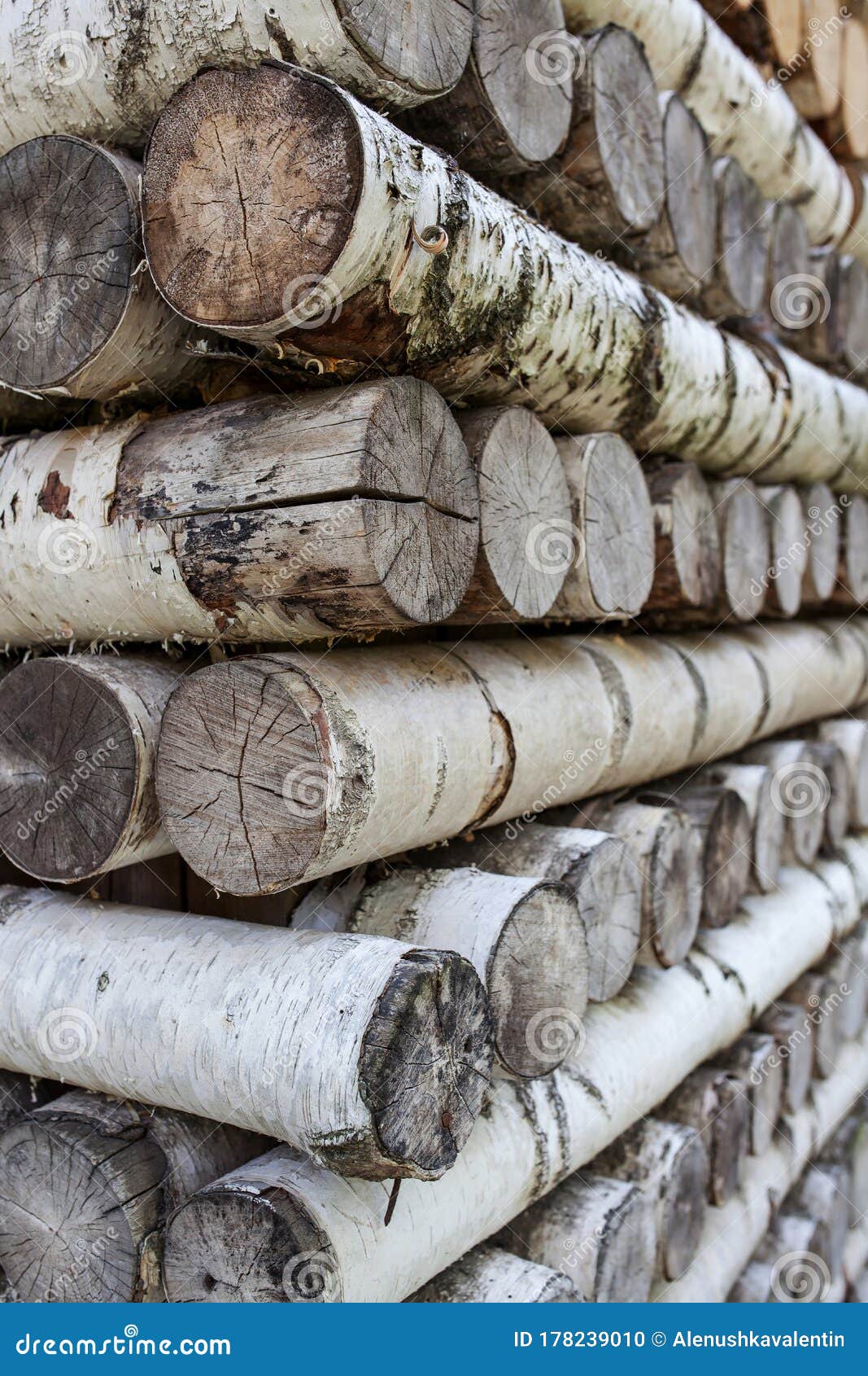 Journaux de bouleaux photo stock. Image du wooden, sibérie - 178239010