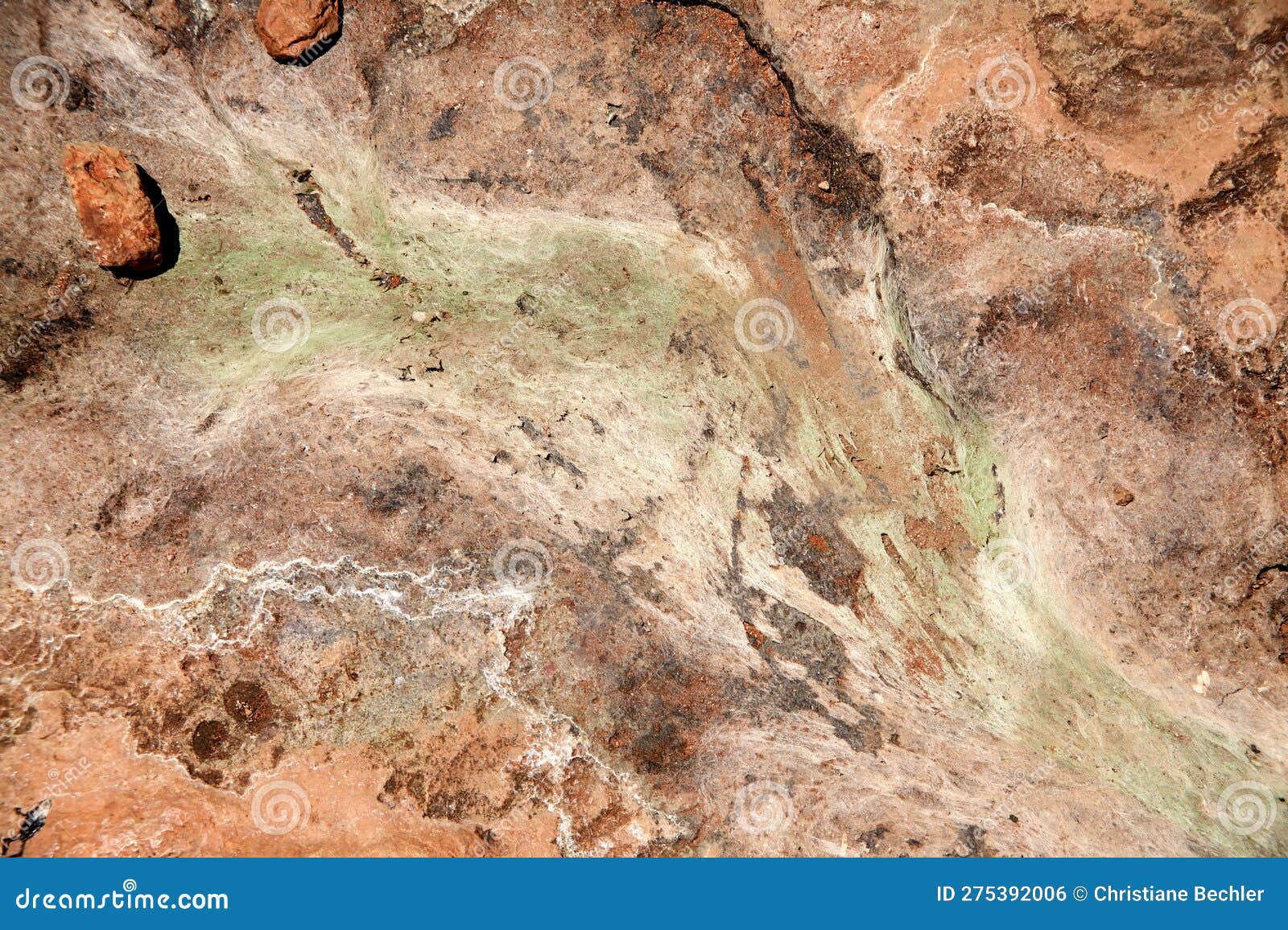 Journey through Australia stock photo. Image of australia - 275392006