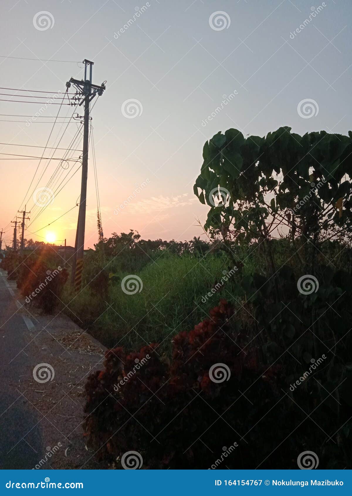 On the journey stock image. Image of sunshine, roadside - 164154767
