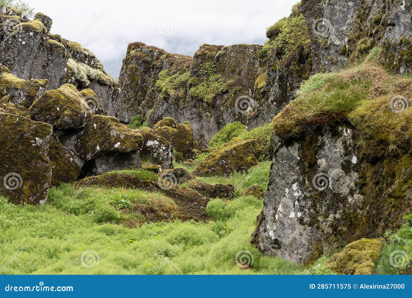 Journey through the Magnificent Wilderness of Iceland Stock Image ...