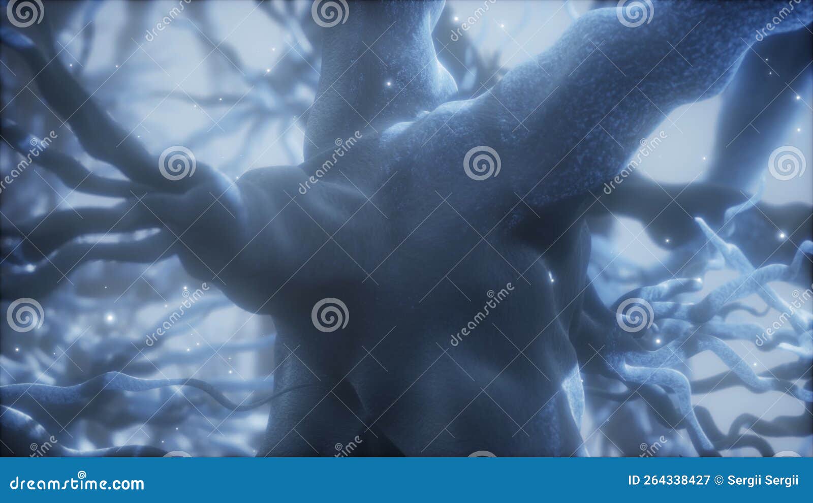 Journey through a Neuron Cell Network Inside the Brain Stock ...