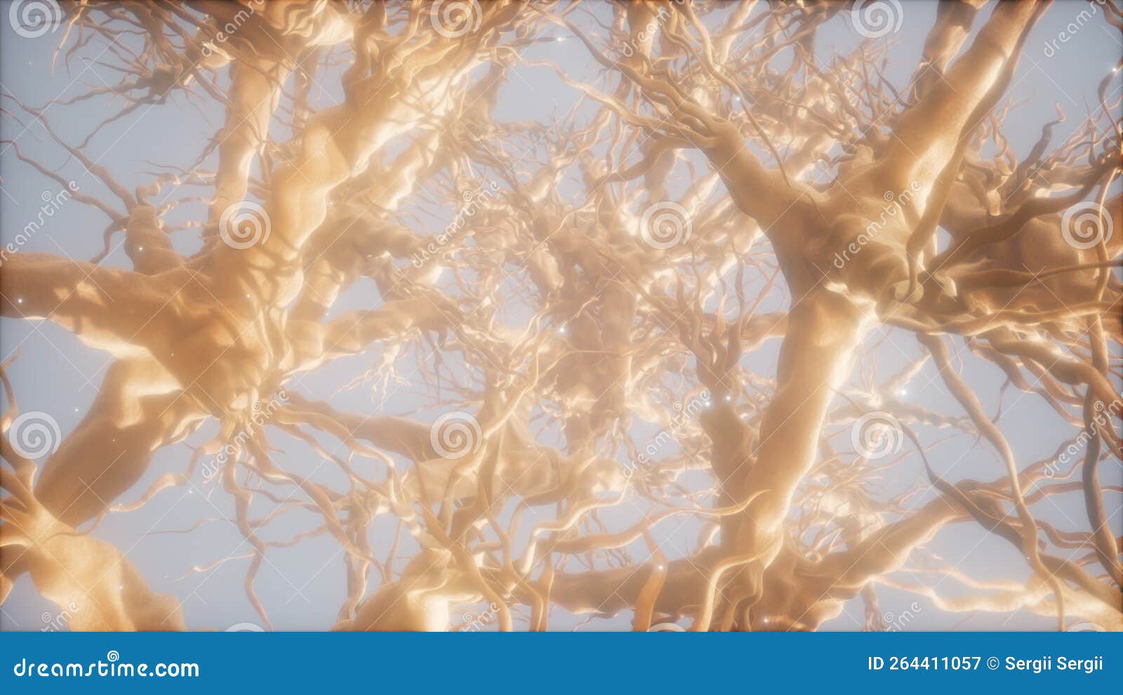 Journey through a Neuron Cell Network Inside the Brain Stock ...