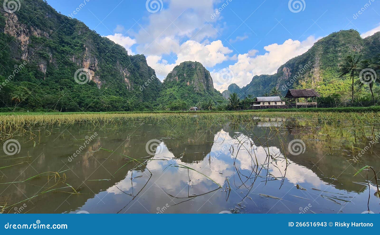 A Journey To the Highland Maros Stock Image - Image of valley, maros ...