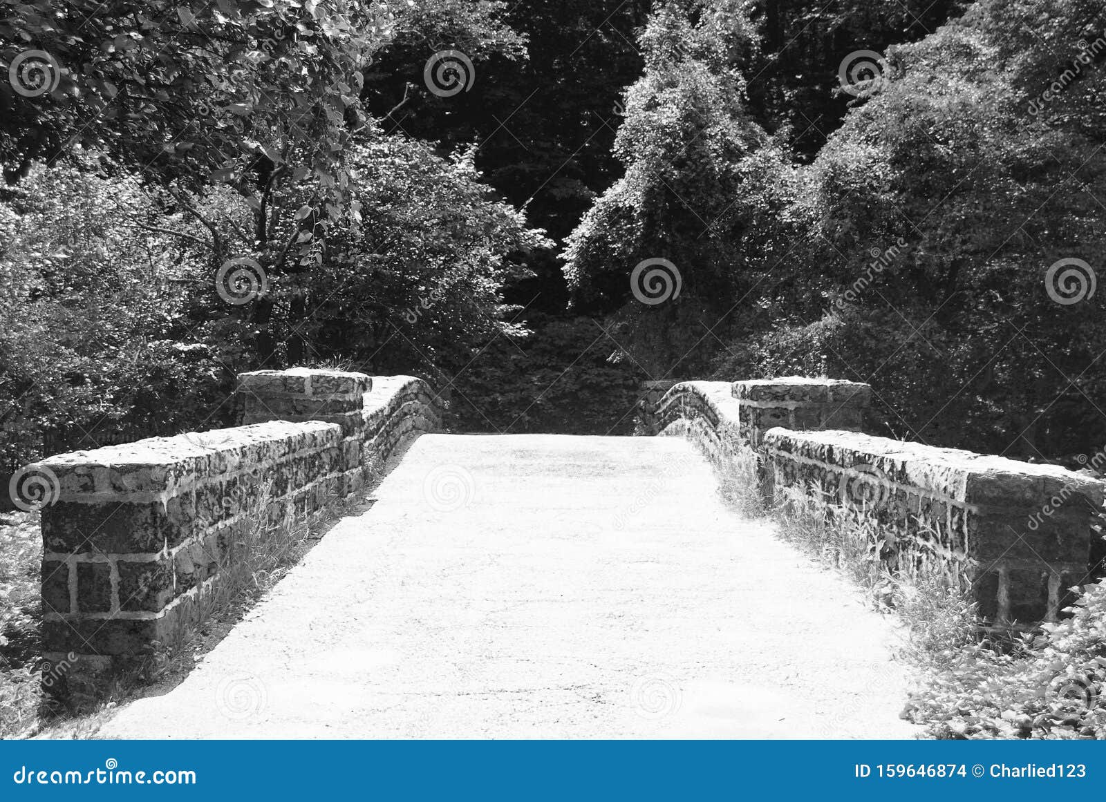 Stone Bridge and Pathway To Forest Stock Photo - Image of uncertain ...