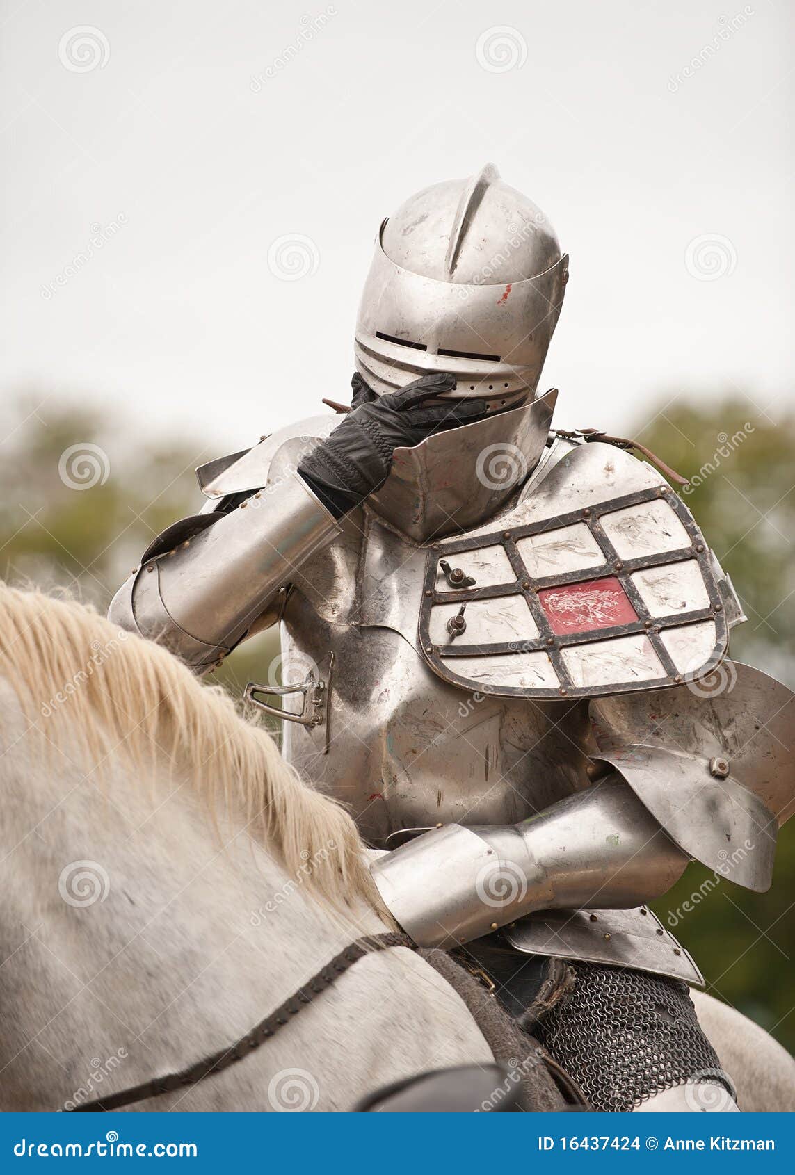 Jouster Jason Armstrong editorial stock image. Image of guard - 16437424