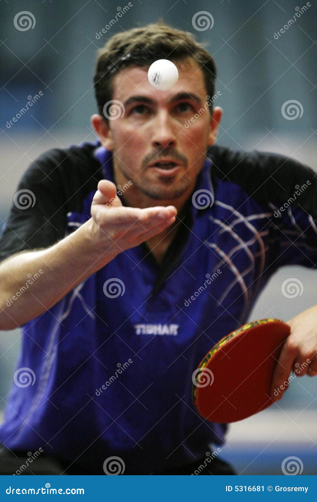 Jover.S editorial photo. Image of sport, championship - 5316681