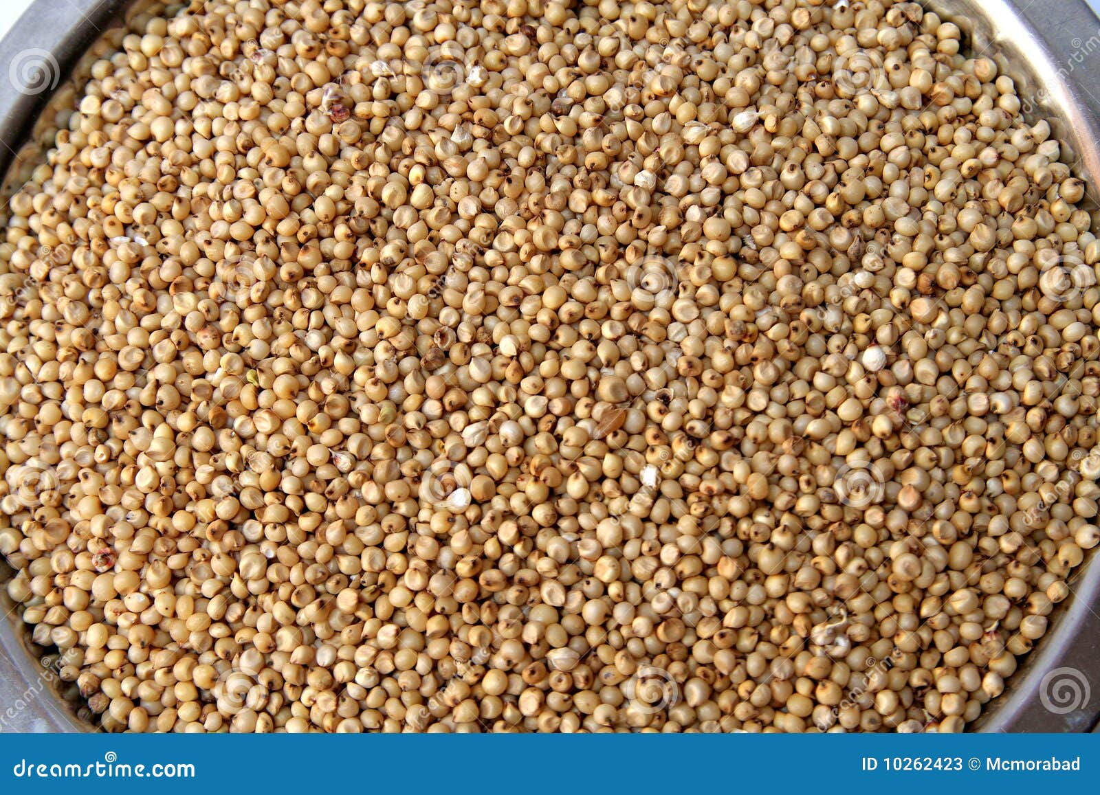 Jowar/Sorghum Grains stock image. Image of white, food - 10262423