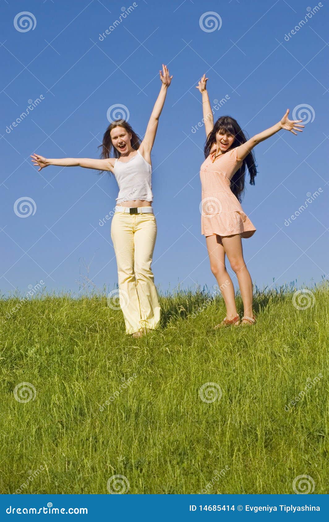 Joy stock photo. Image of waving, brunette, smile, nice - 14685414
