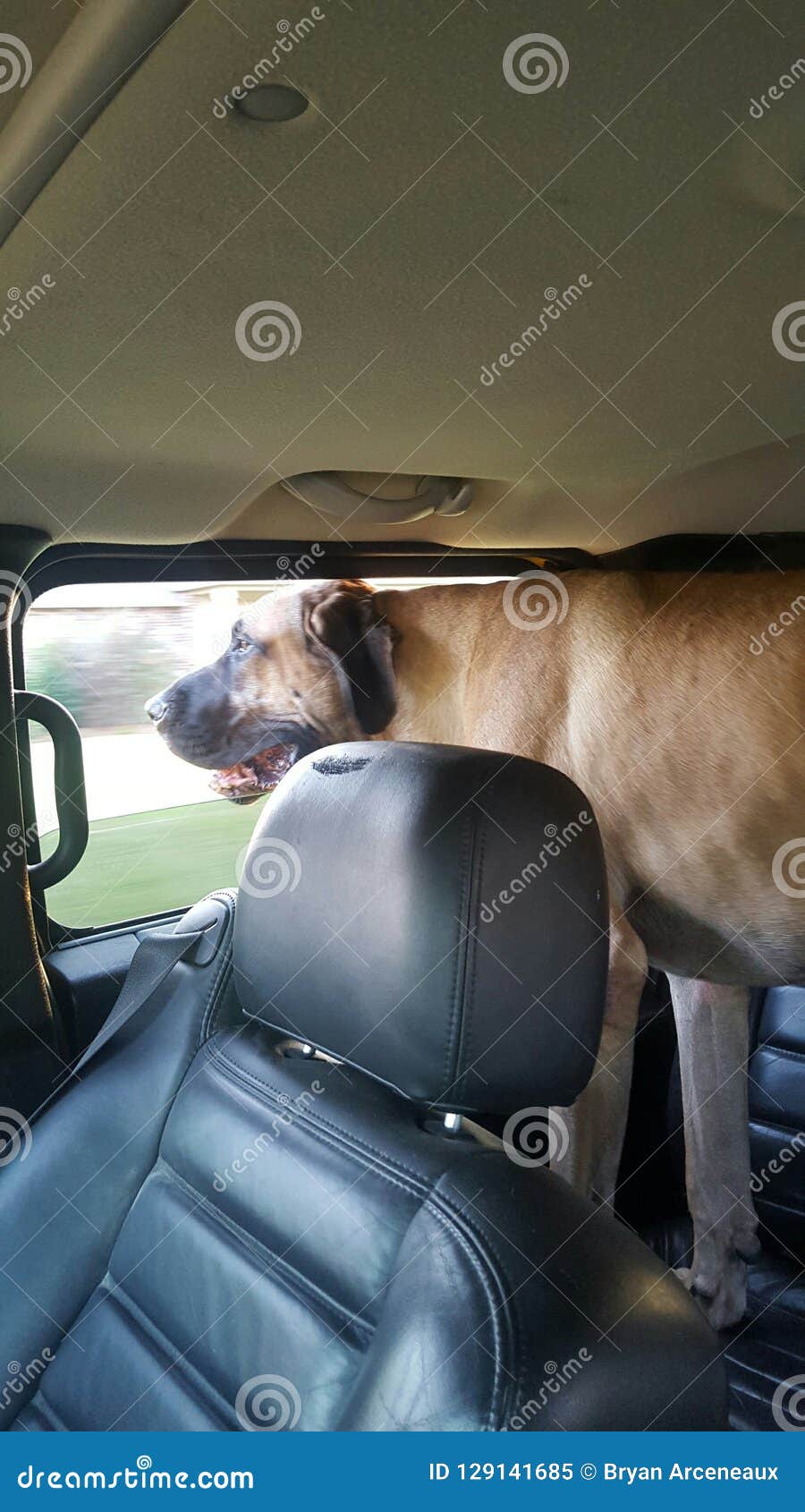 Joy ride stock image. Image of back, riding, ride, year - 129141685