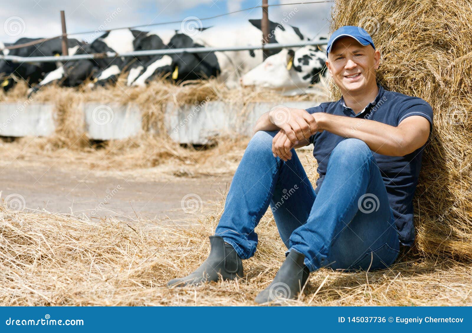 Joyful Farmer on a Farm among Cows Sitting on Ground Stock Photo ...