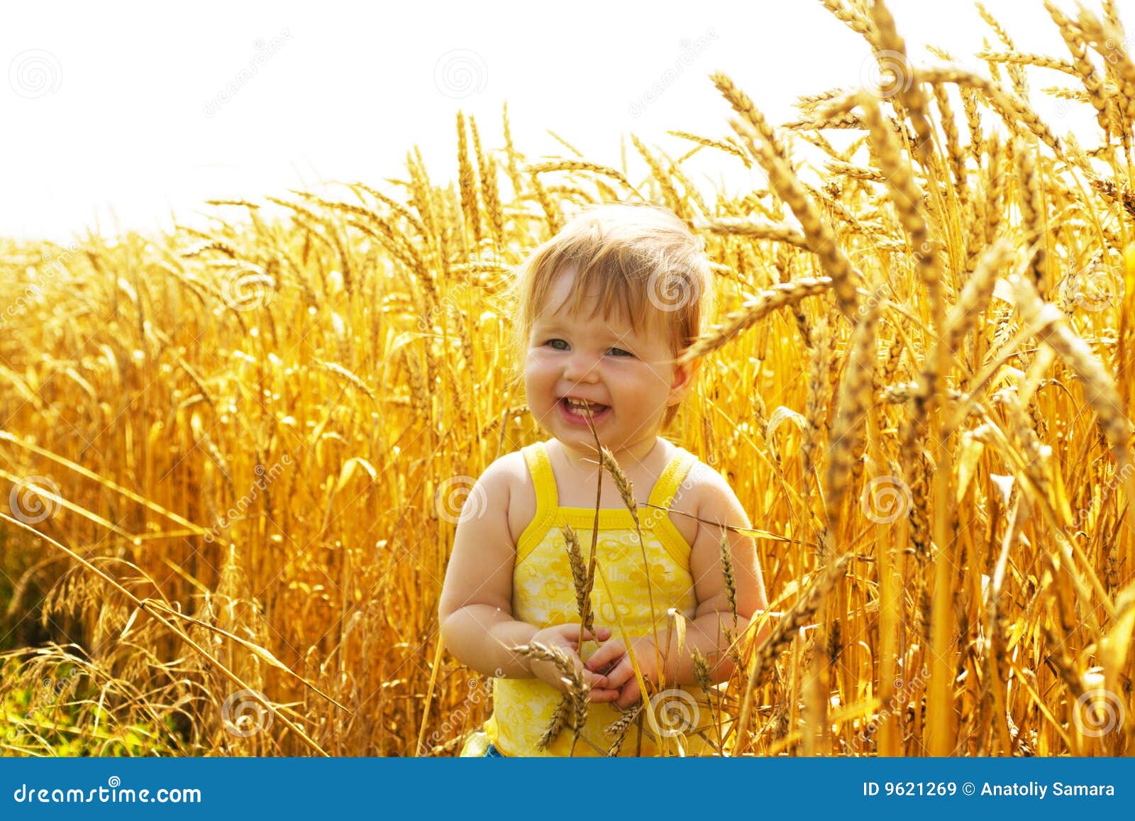 Joyful kid in wheat field stock image. Image of grow, bright - 9621269