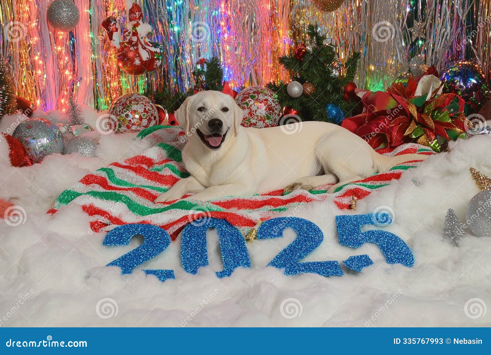 Joyful Labrador Celebrating New Year 2025 in Festive Holiday Setting ...