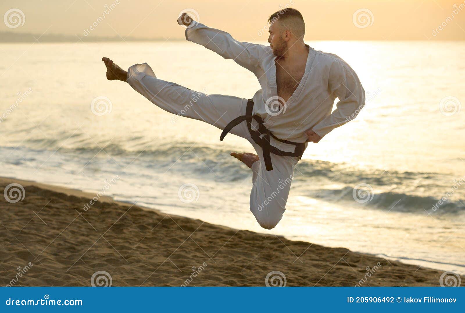Joyful Male Practising Karate Kata Poses Stock Photo - Image of males ...