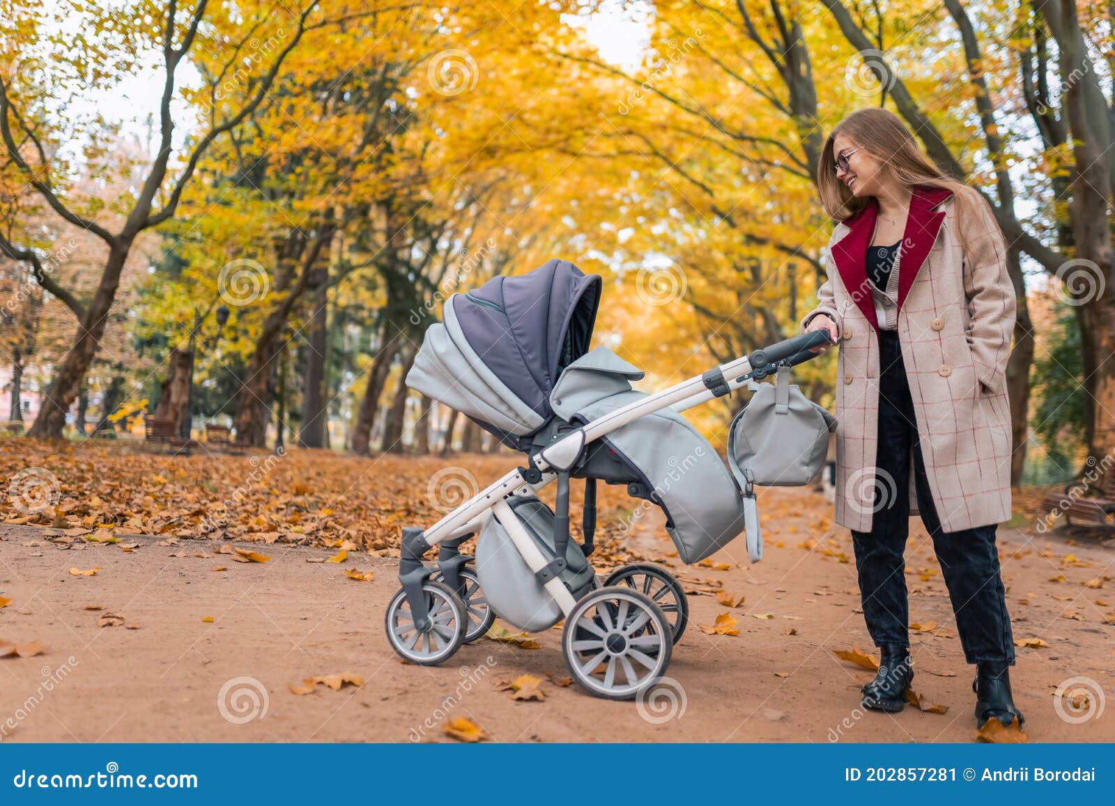Joyful Mom Smiles To Her Baby in a Stroller. Stock Image - Image of ...