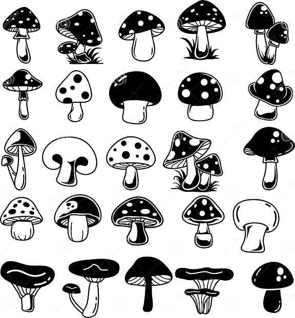 Mushroom Icons Set, Fungus Vector Illustration and Shrooms Fungi ...