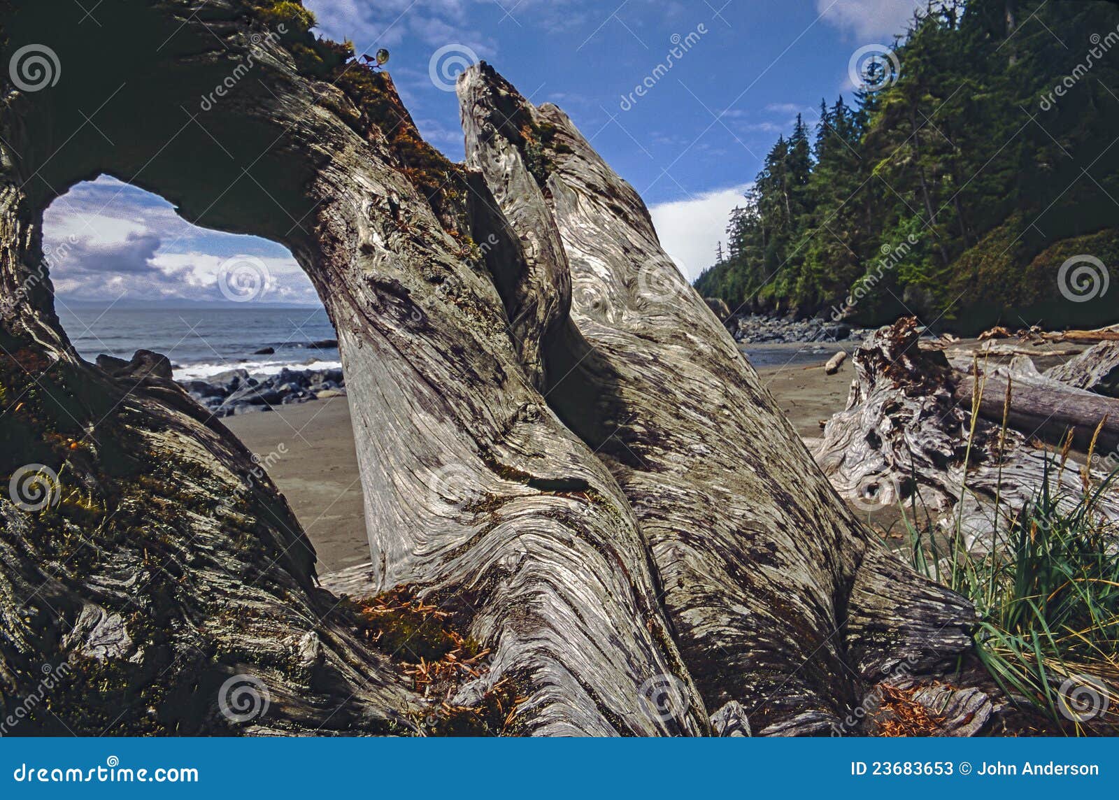 Juan De fuca trail beach stock image. Image of beach - 23683653
