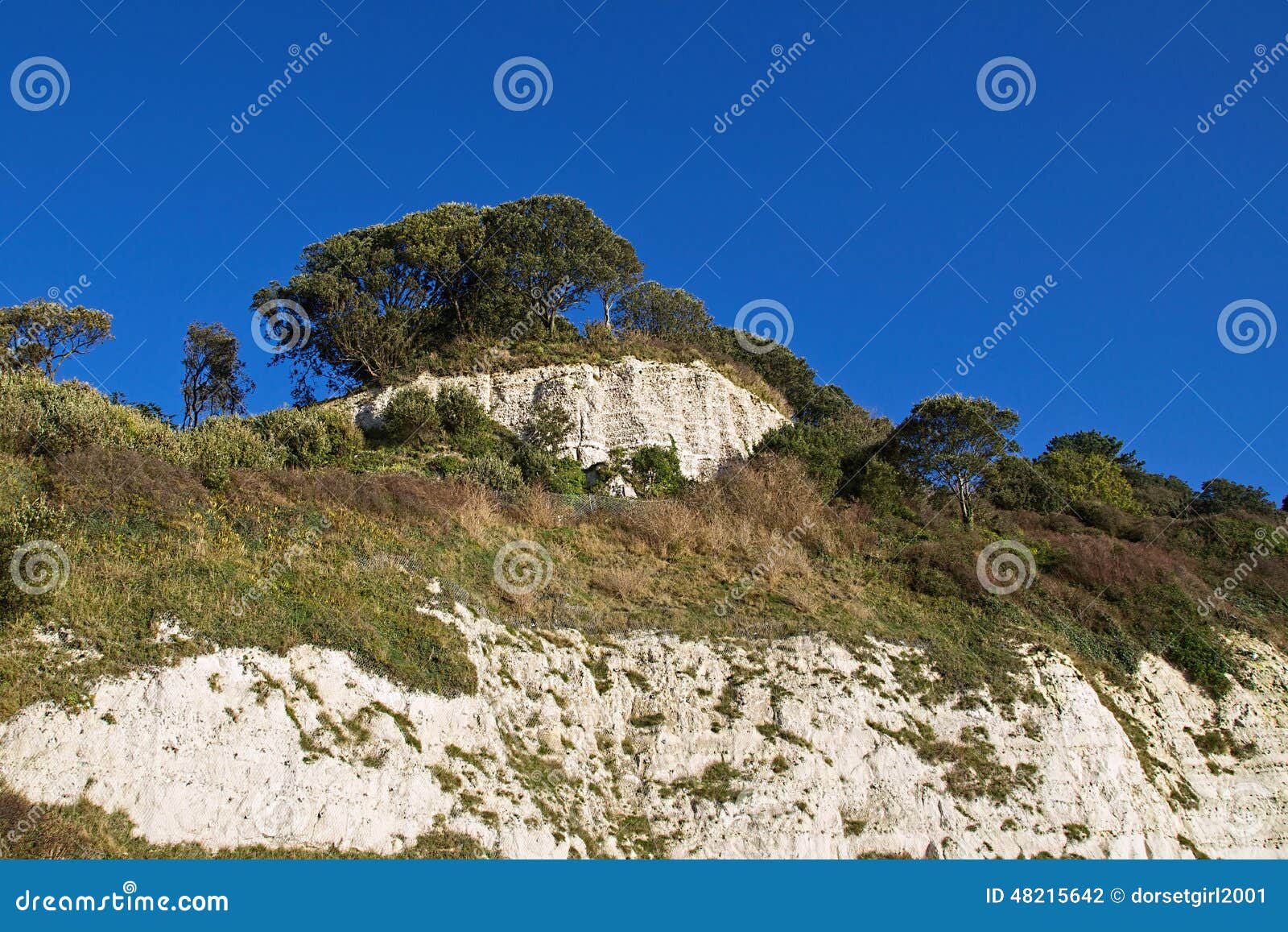 Jubilee Gardens at Beer, Devon Stock Photo - Image of limestone, nature ...