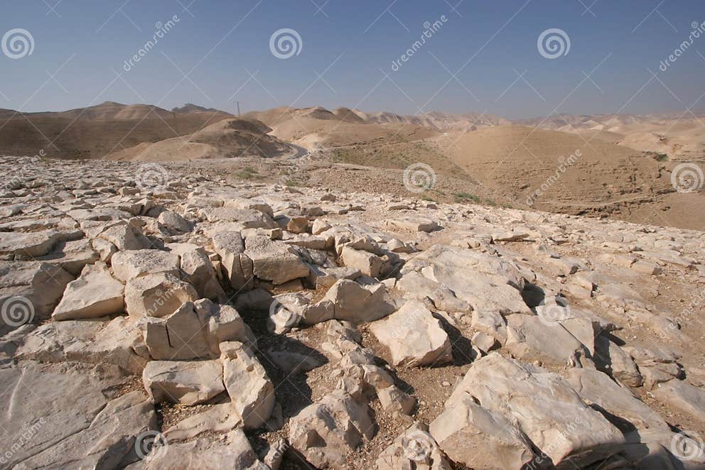 Judea Desert stock photo. Image of nature, valley, park - 10724546