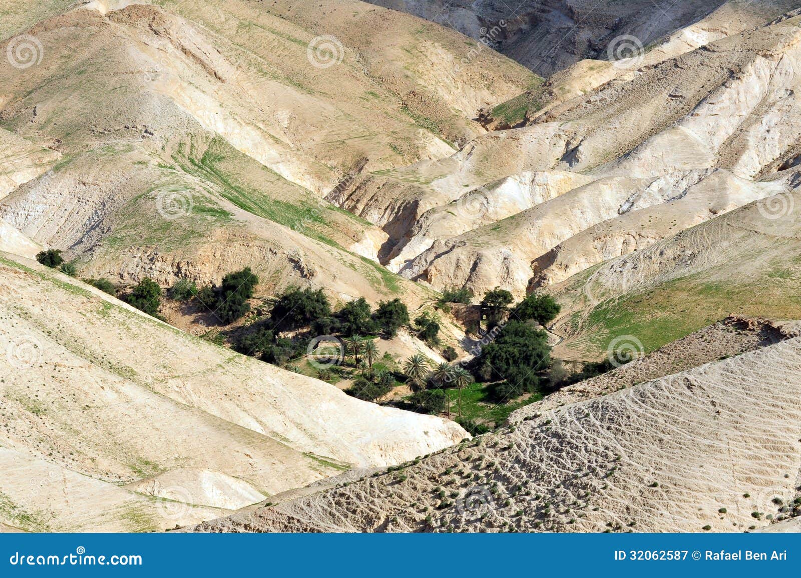 Judea Desert - Israel stock image. Image of cultivated - 32062587