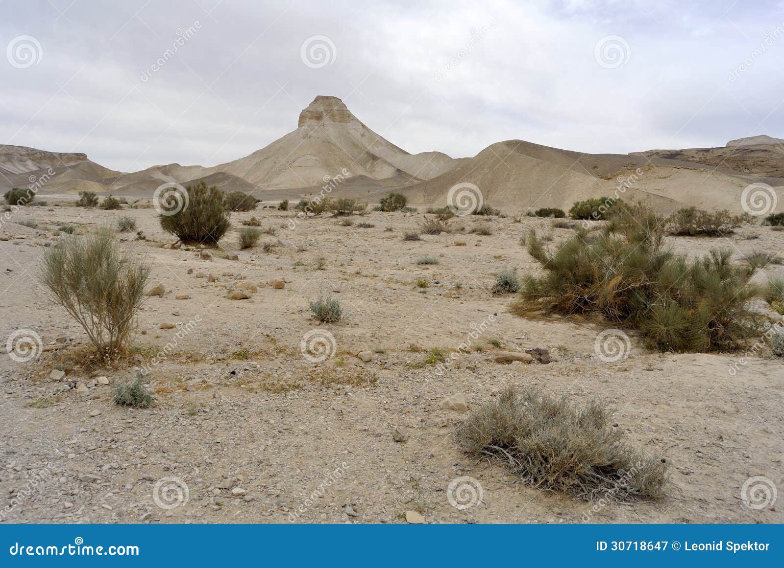 Judea desert landscape. stock image. Image of tourism - 30718647