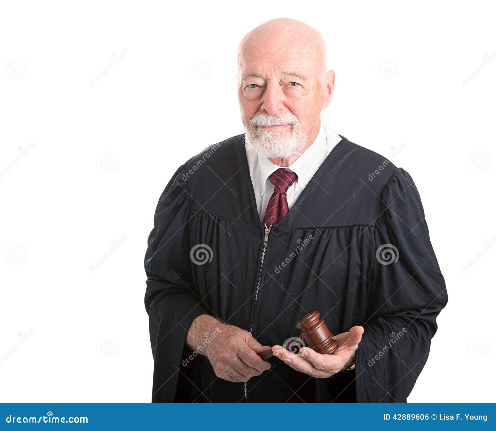 Judge with Dignity stock photo. Image of american, lawyer - 42889606