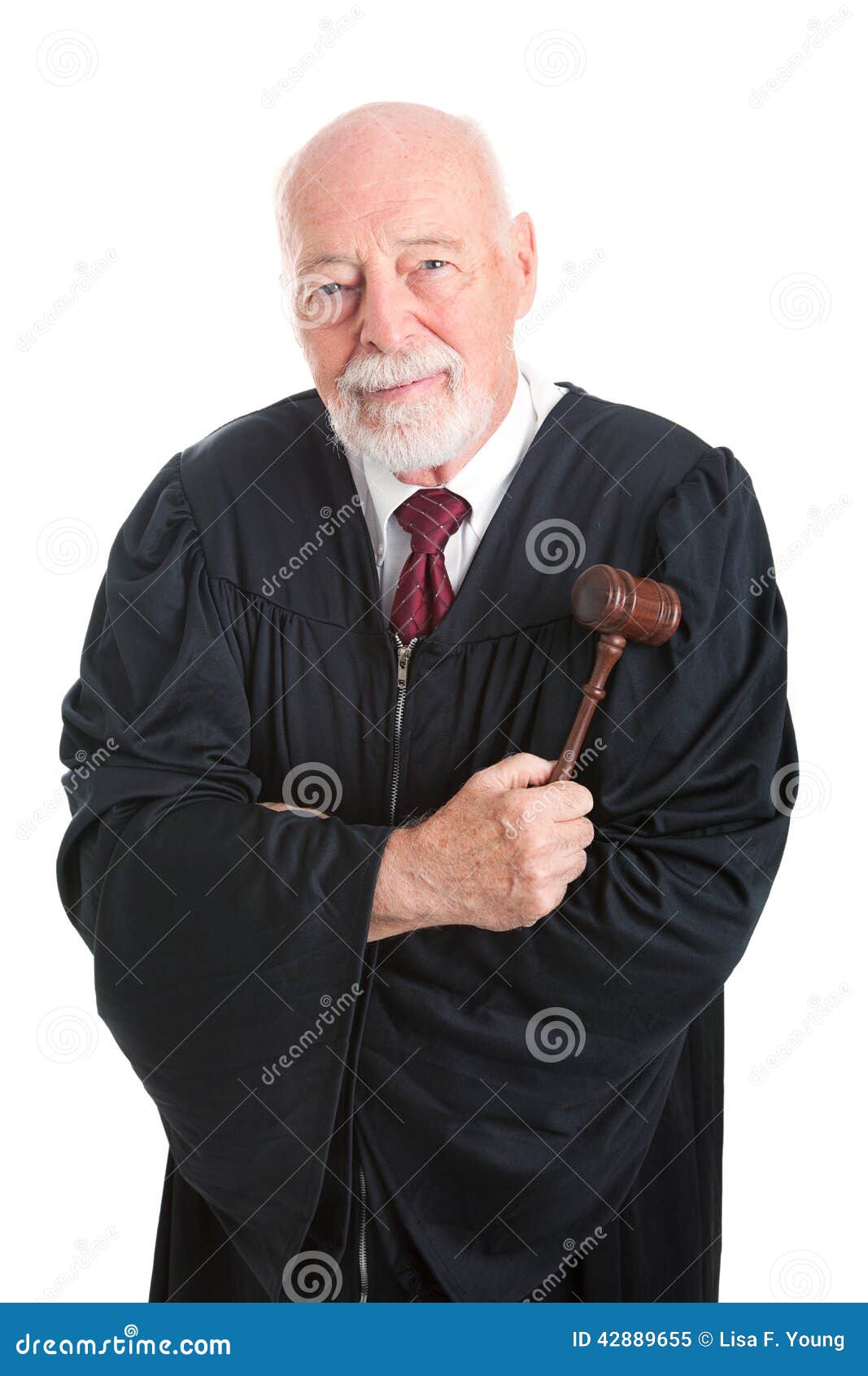 The Judge stock image. Image of american, judgment, gavel - 42889655