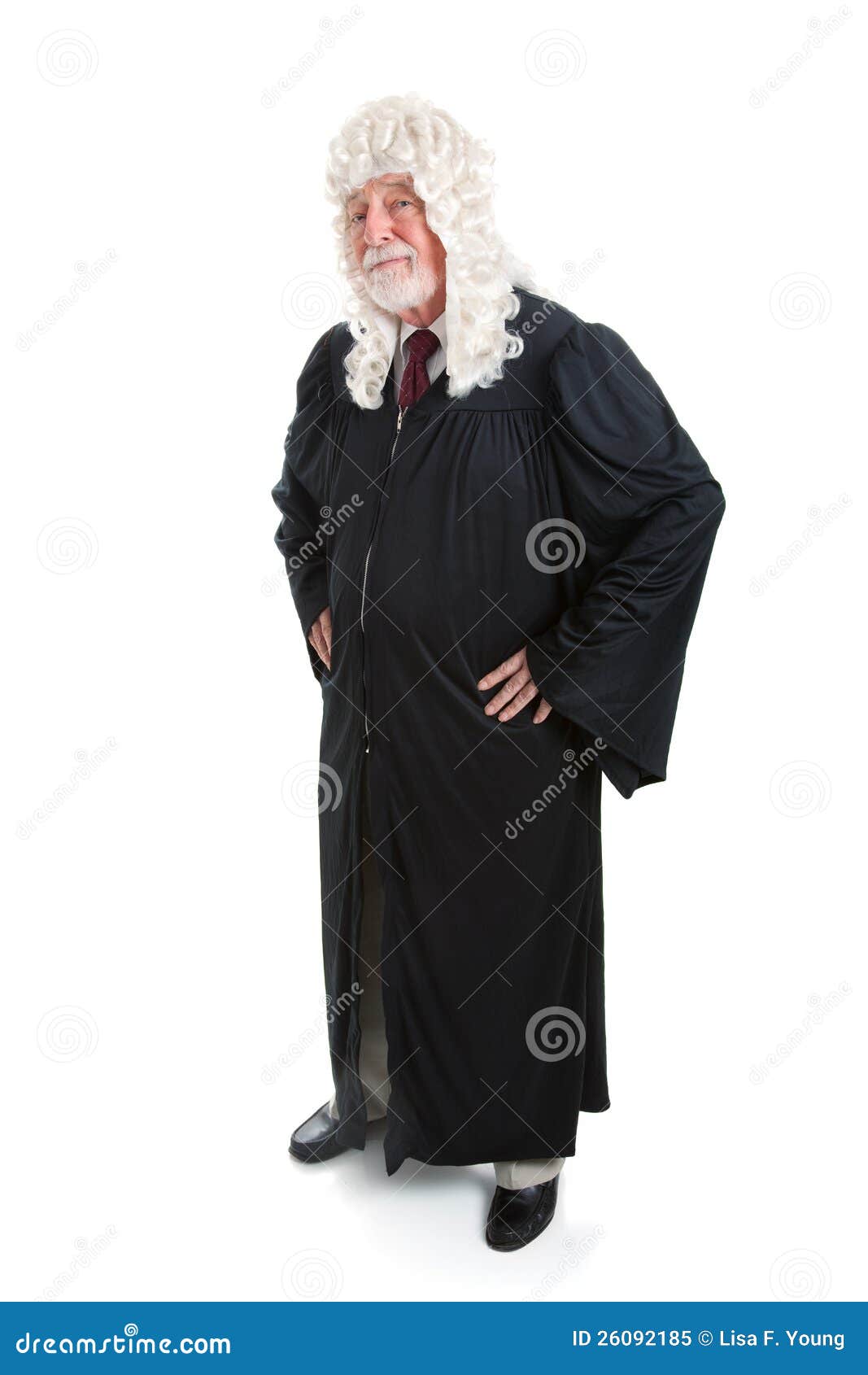 Judge in Wig - full body stock image. Image of goatee - 26092185