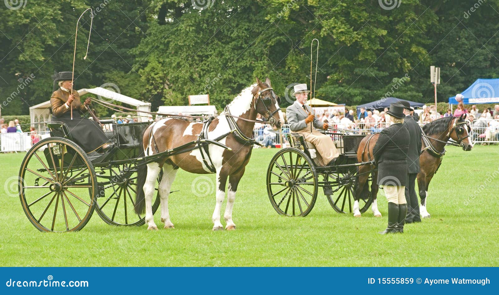 Judging the Carriage Driving. Editorial Stock Image - Image of still ...