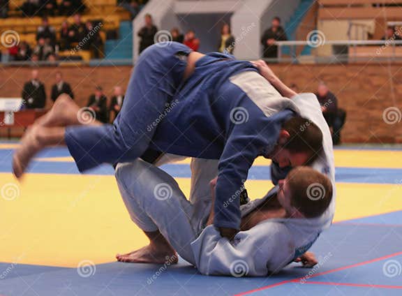 Judo championship editorial stock image. Image of pose - 12004519