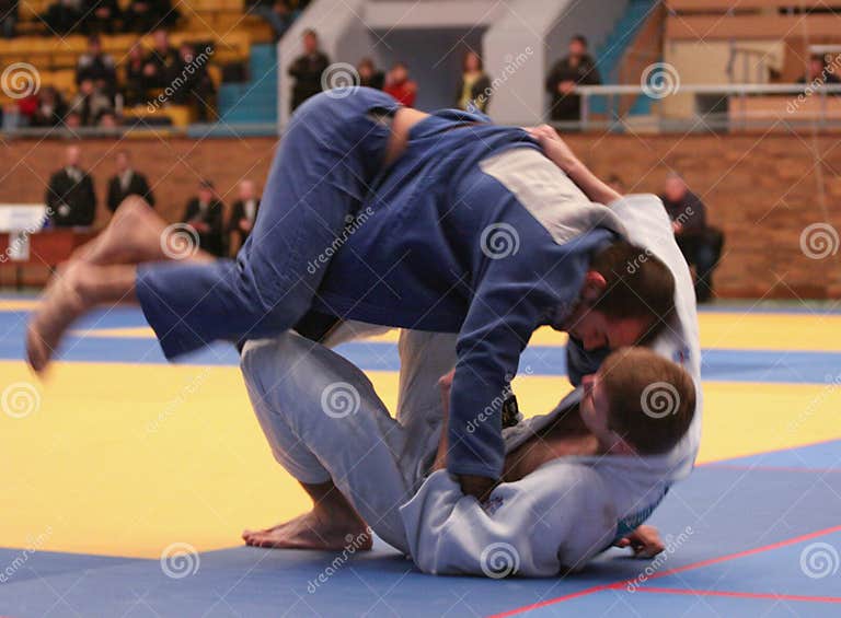 Judo championship editorial stock image. Image of pose - 12004519