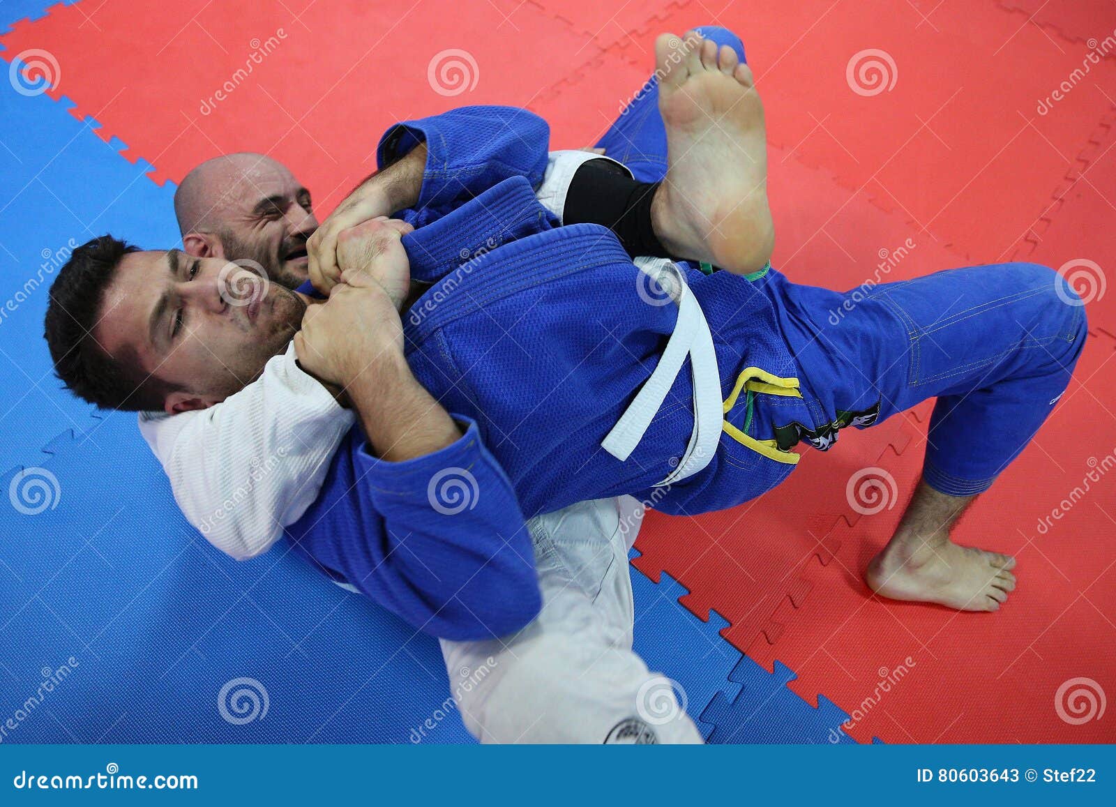 Judo fighters editorial stock photo. Image of contact - 80603643