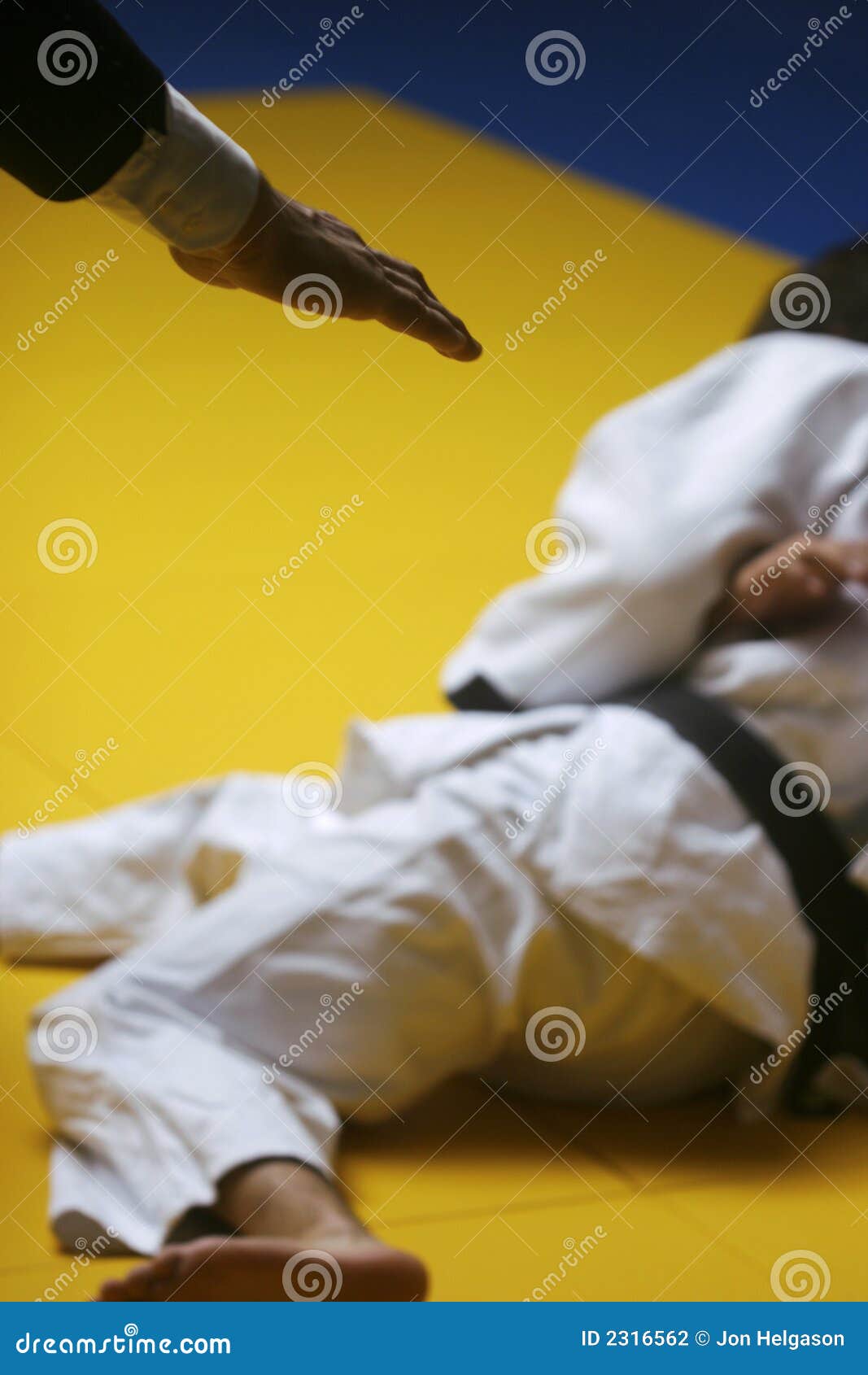 Judo match stock photo. Image of combat, beat, jujutsu - 2316562