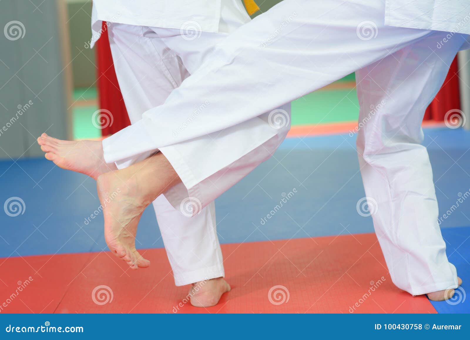 Judo Sport Training in Sports Hall Stock Photo - Image of adult, males ...