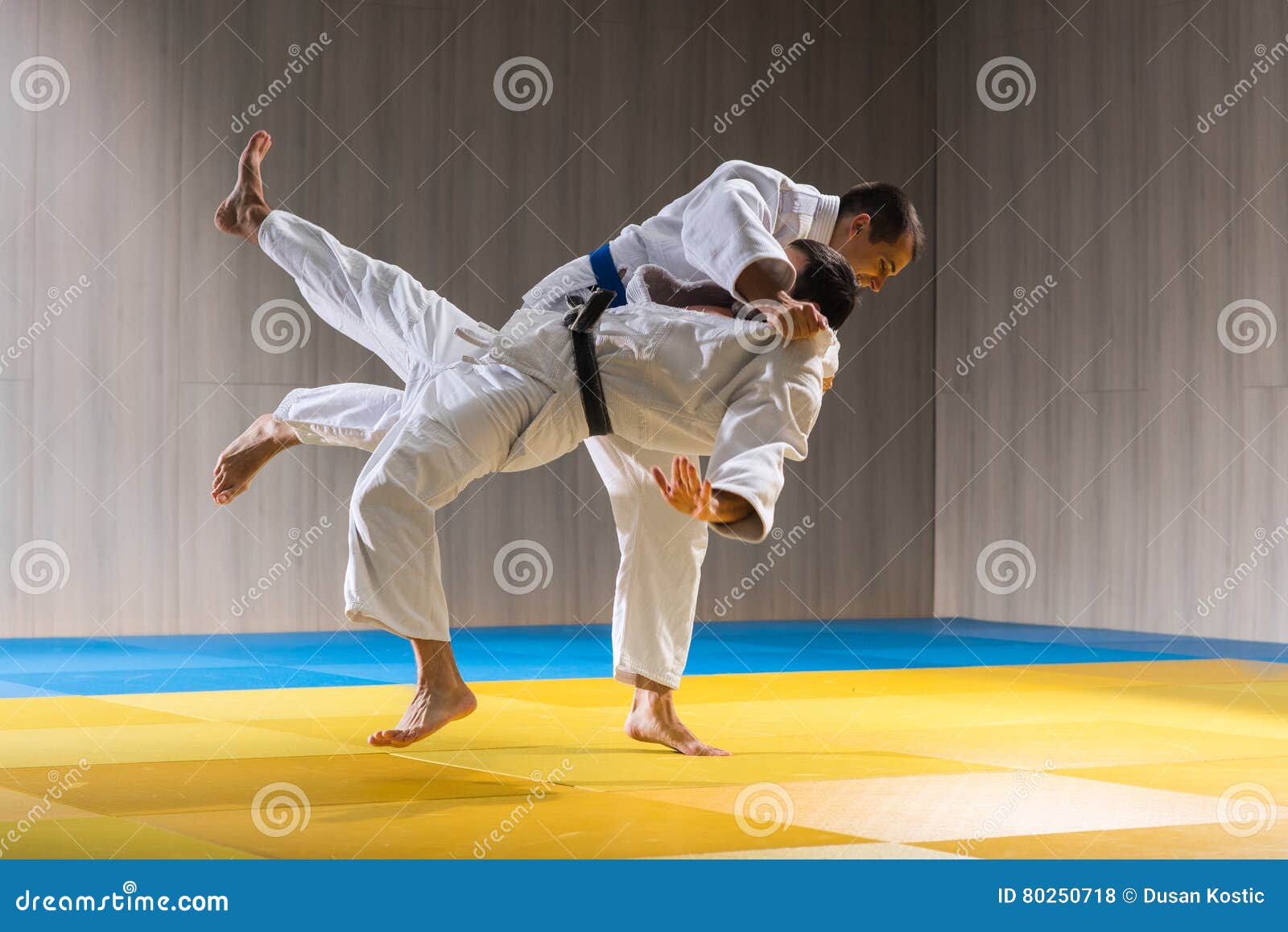Judo Training in the Sports Hall Stock Photo - Image of combat ...