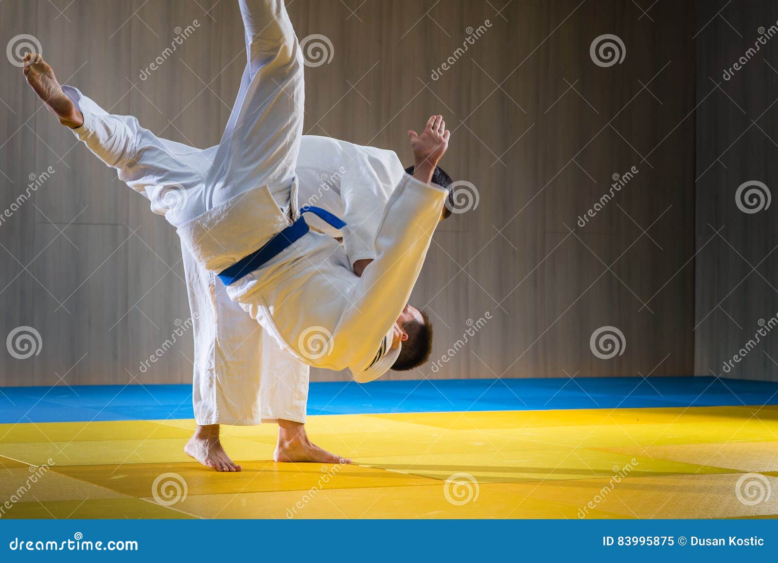 Judo Training in the Sports Hall Stock Image - Image of athlete, high ...