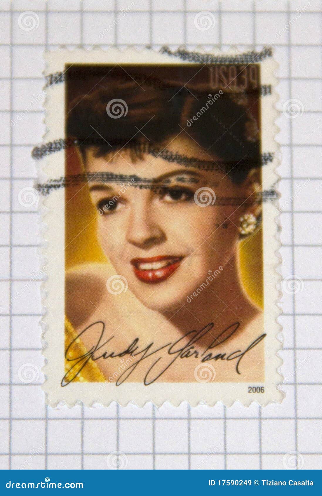 Judy Garland Rose Bush Inside Landscaping Buds And Flowers Royalty-Free ...