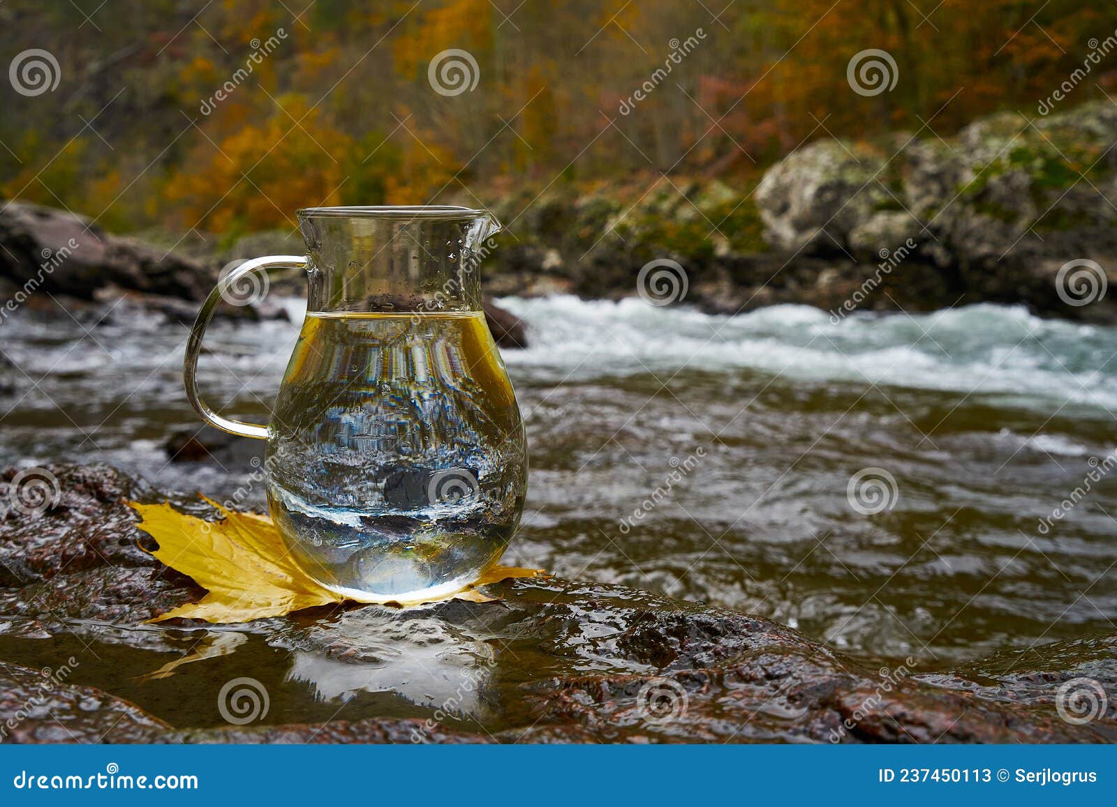 Jug of a Pure River of Water Stock Image - Image of jugful, foliage ...