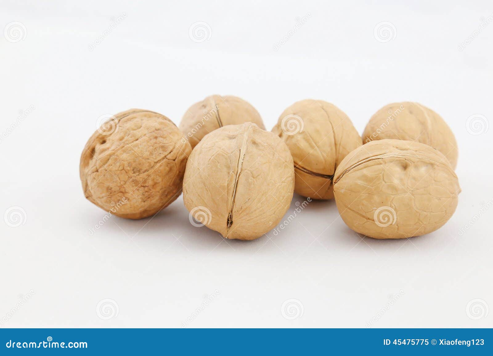 Juglans Regia Royalty-Free Stock Photography | CartoonDealer.com #45475775